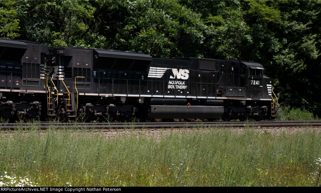 NS 7241